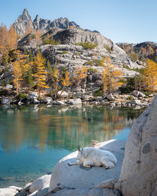 Thru-Hike The Enchantments In One Day: Everything You Need To Know ...