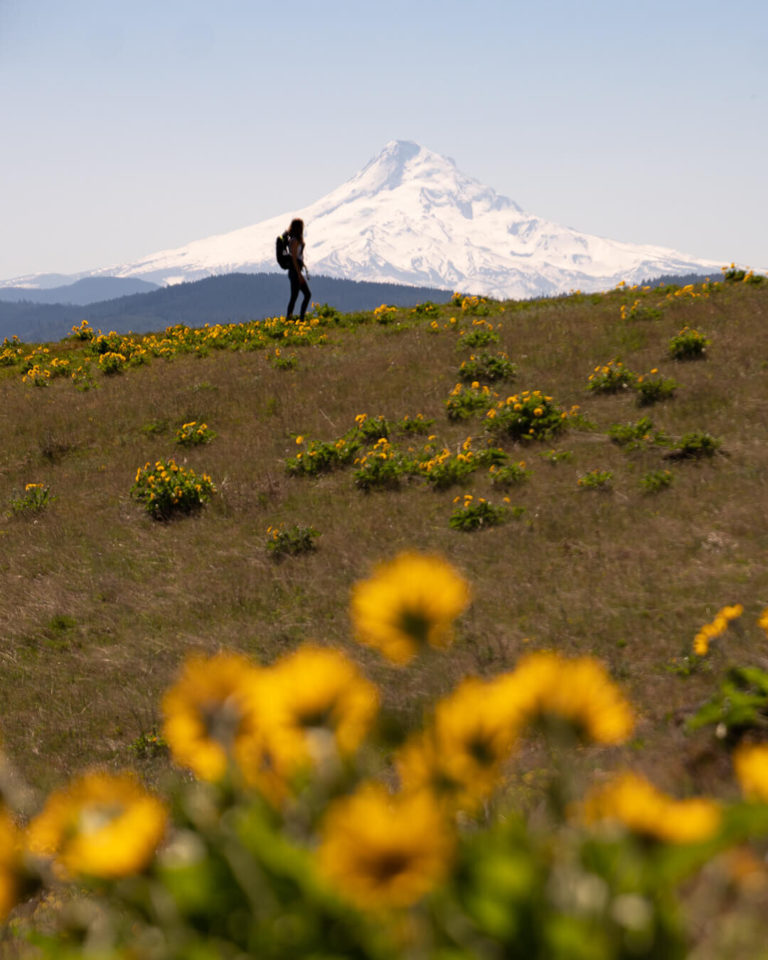 Nine Stunning Spring Hikes In Washington State - Jess Wandering