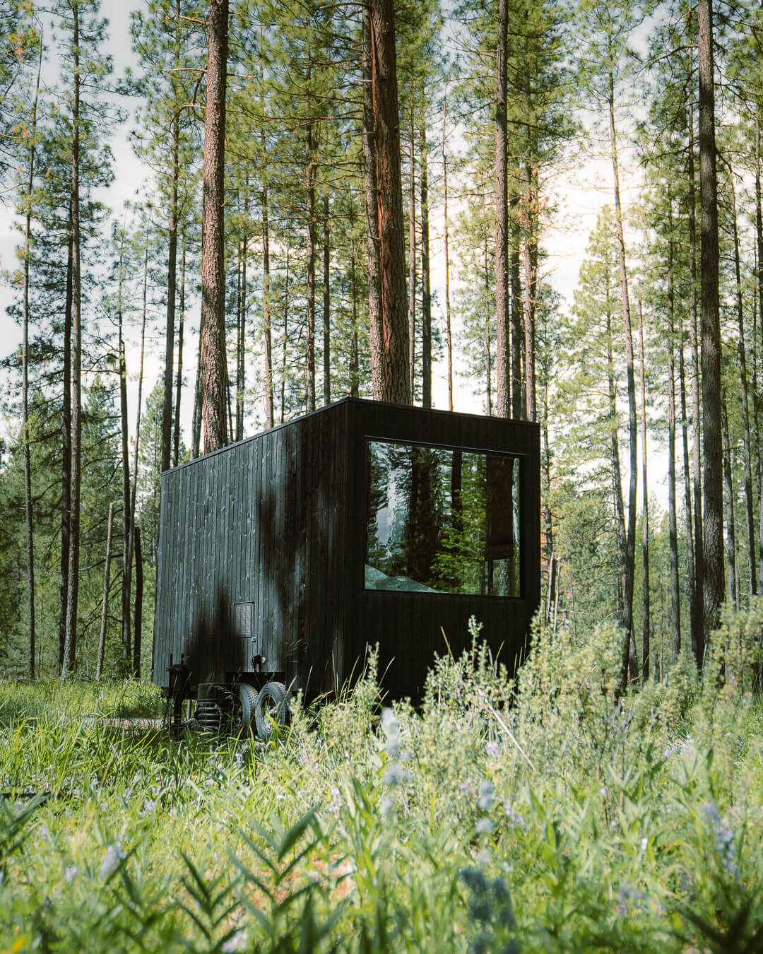 The Best Cozy Pacific Northwest Cabins You Can Rent - Jess Wandering