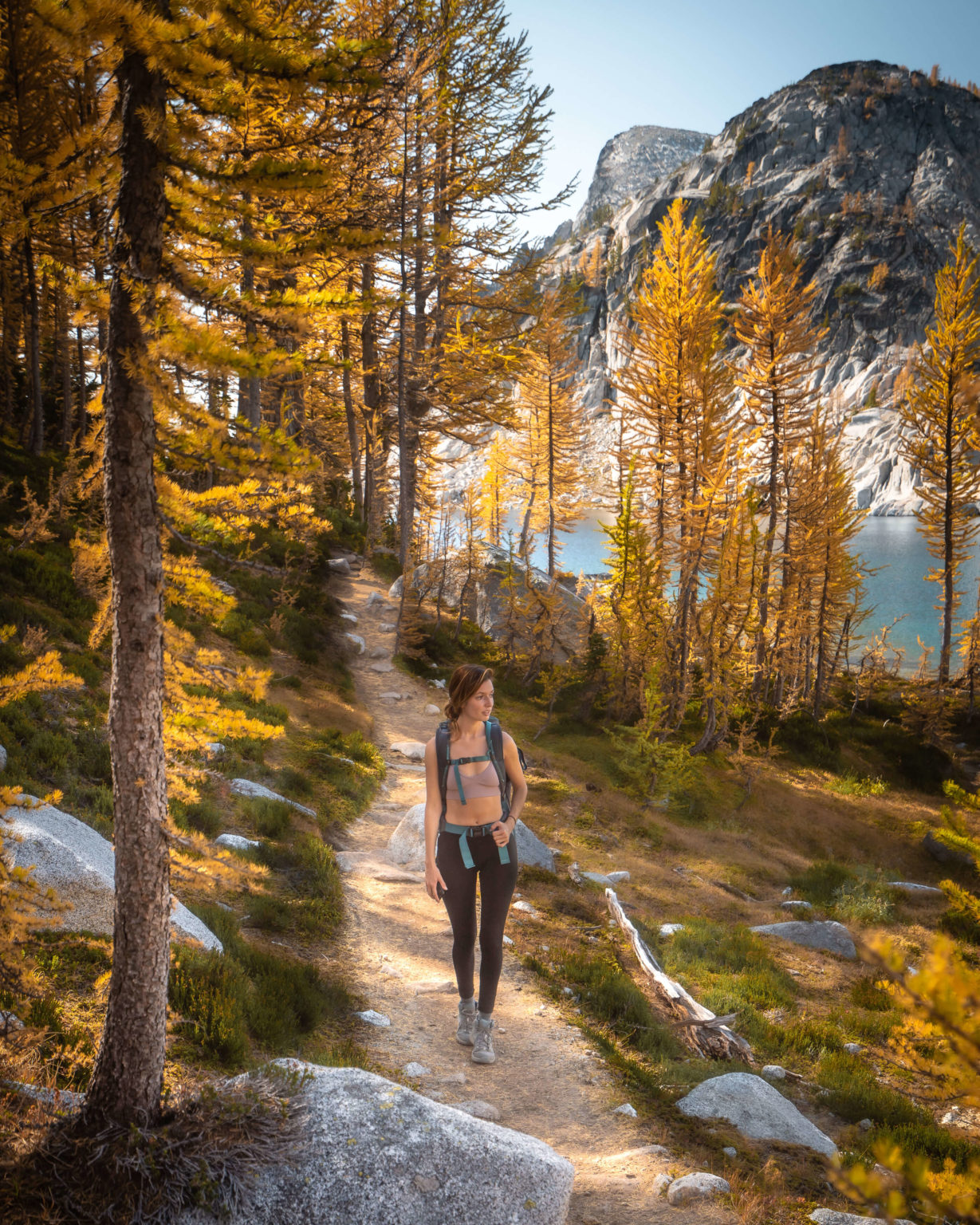 The Best Golden Larch Hiking Trails In Washington State - Jess Wandering