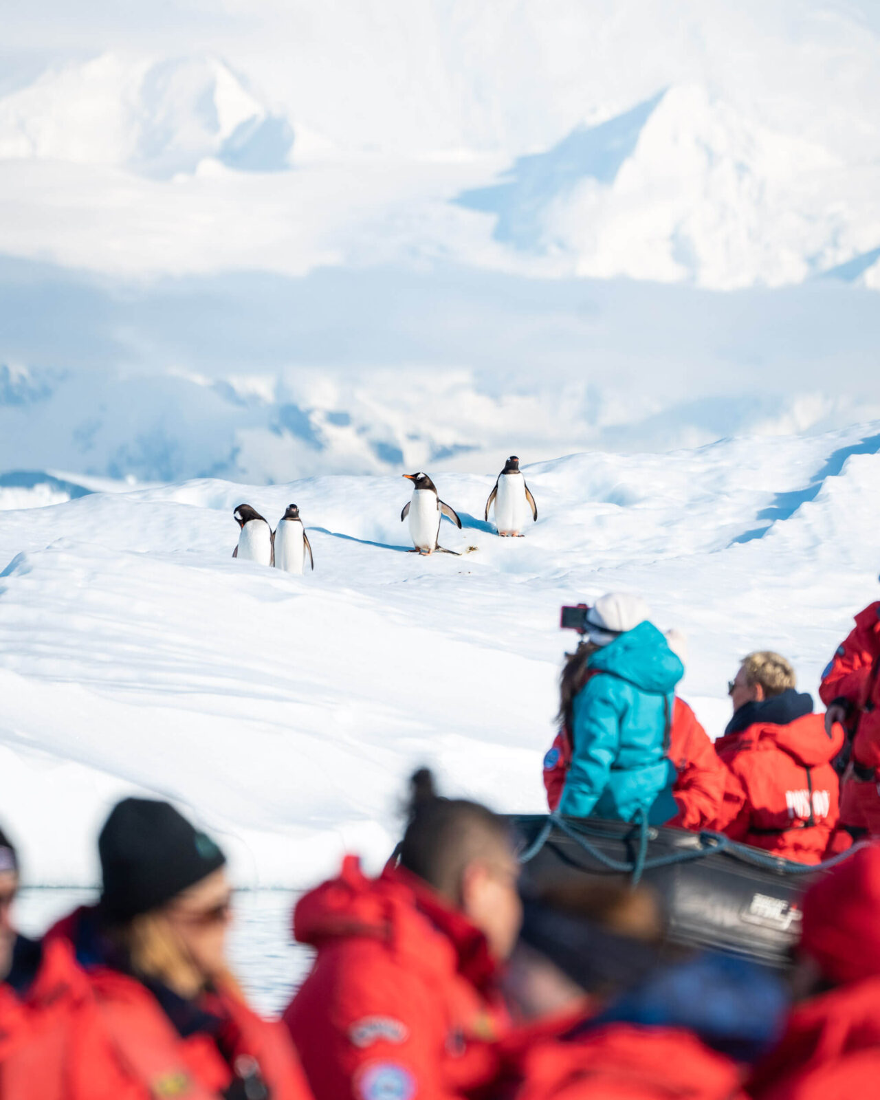 What To Pack For Your Antarctic Expedition - Jess Wandering