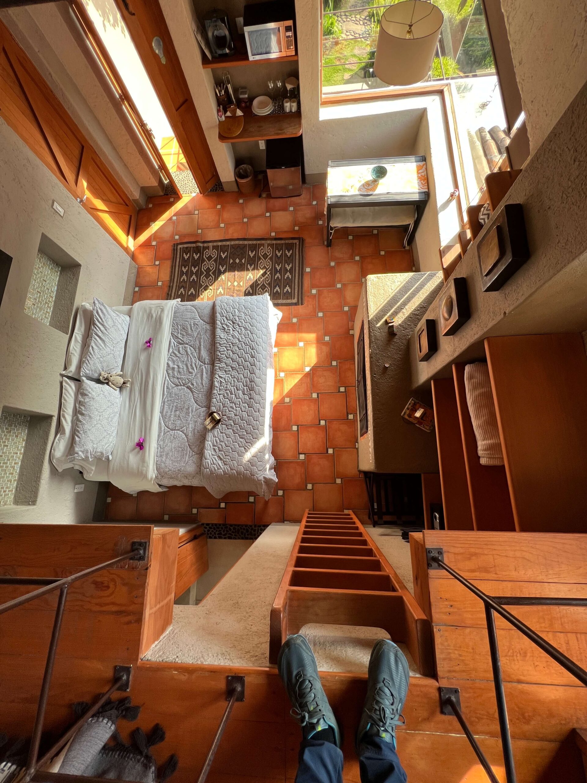 How to See The Monarch Butterfly Migration in Mexico - Jess Wandering